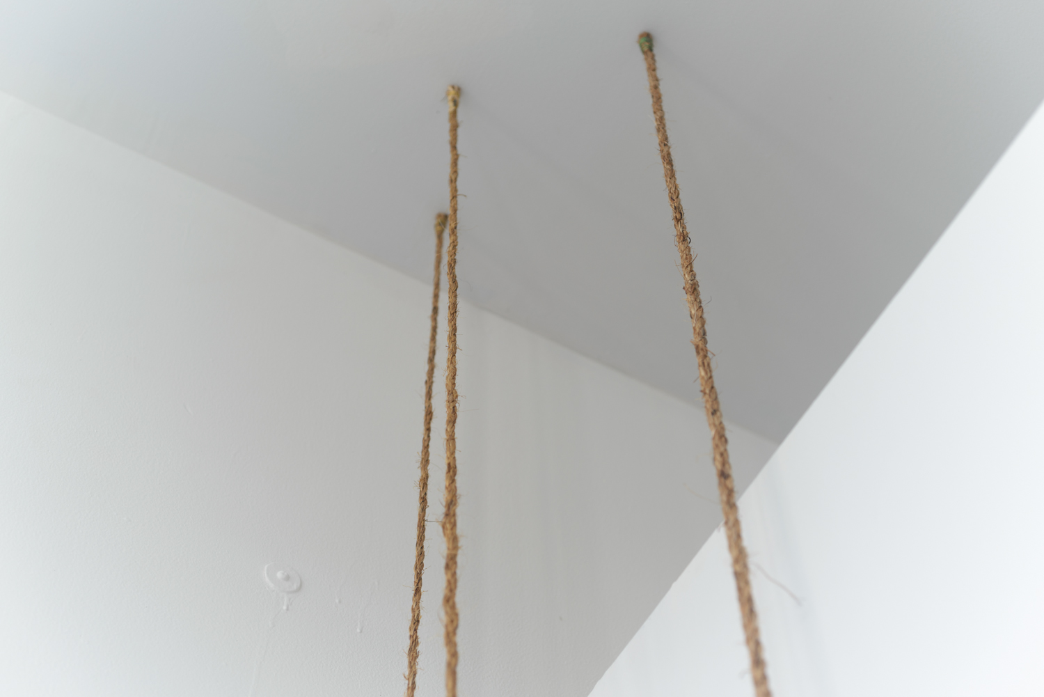 ascension [details] | Amy Ralston