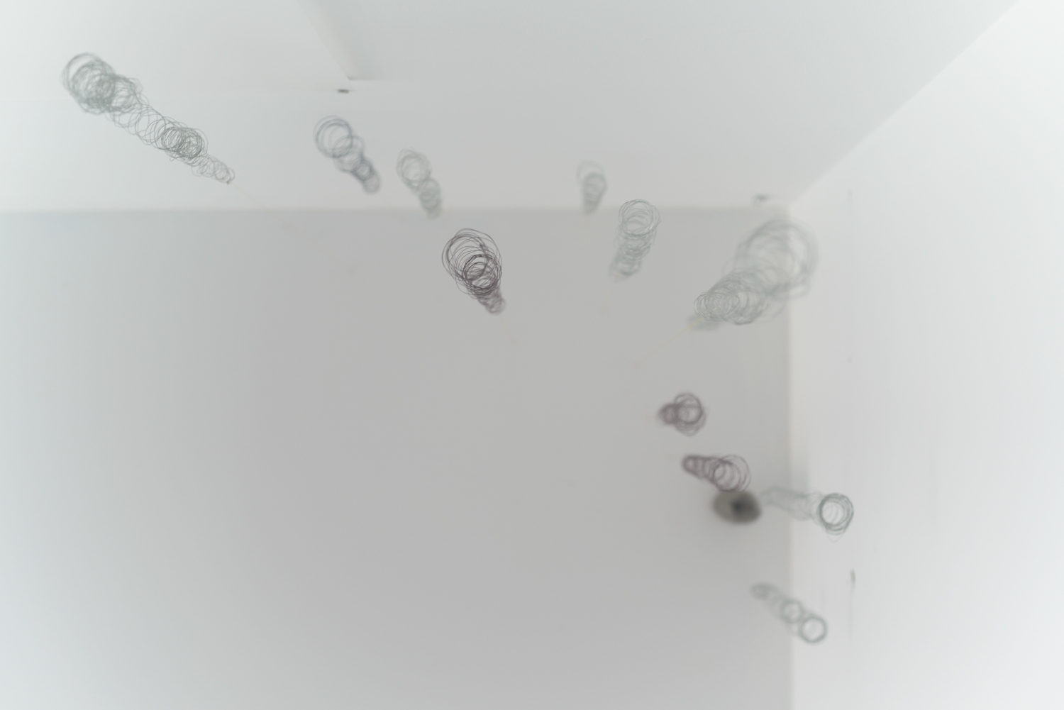 ascension [south] | Amy Ralston
